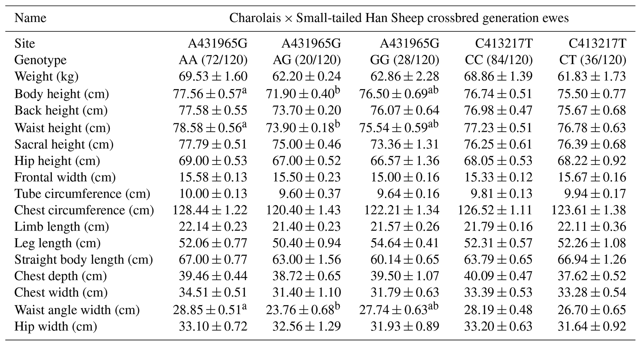 AAB - Association analysis of single nucleotide polymorphisms in the ...