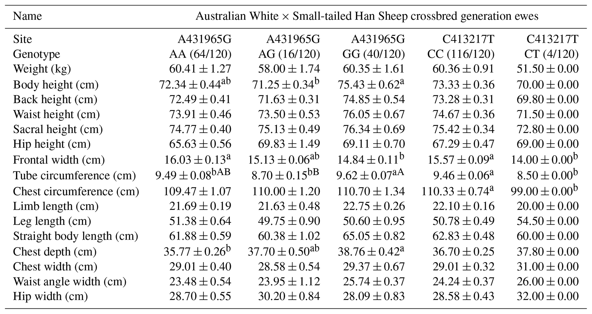 AAB - Association analysis of single nucleotide polymorphisms in the ...